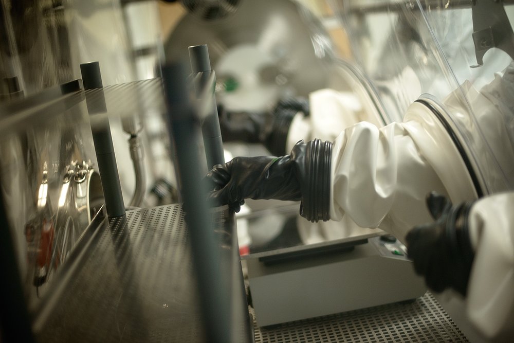 Why You May Need a Bioreactor for Mammalian Cell Culture - Easy Articles